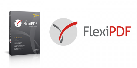 BinaryNow Renew Product Portfolio with FlexiPDF Professional 2022 for Windows - Alternative2Office